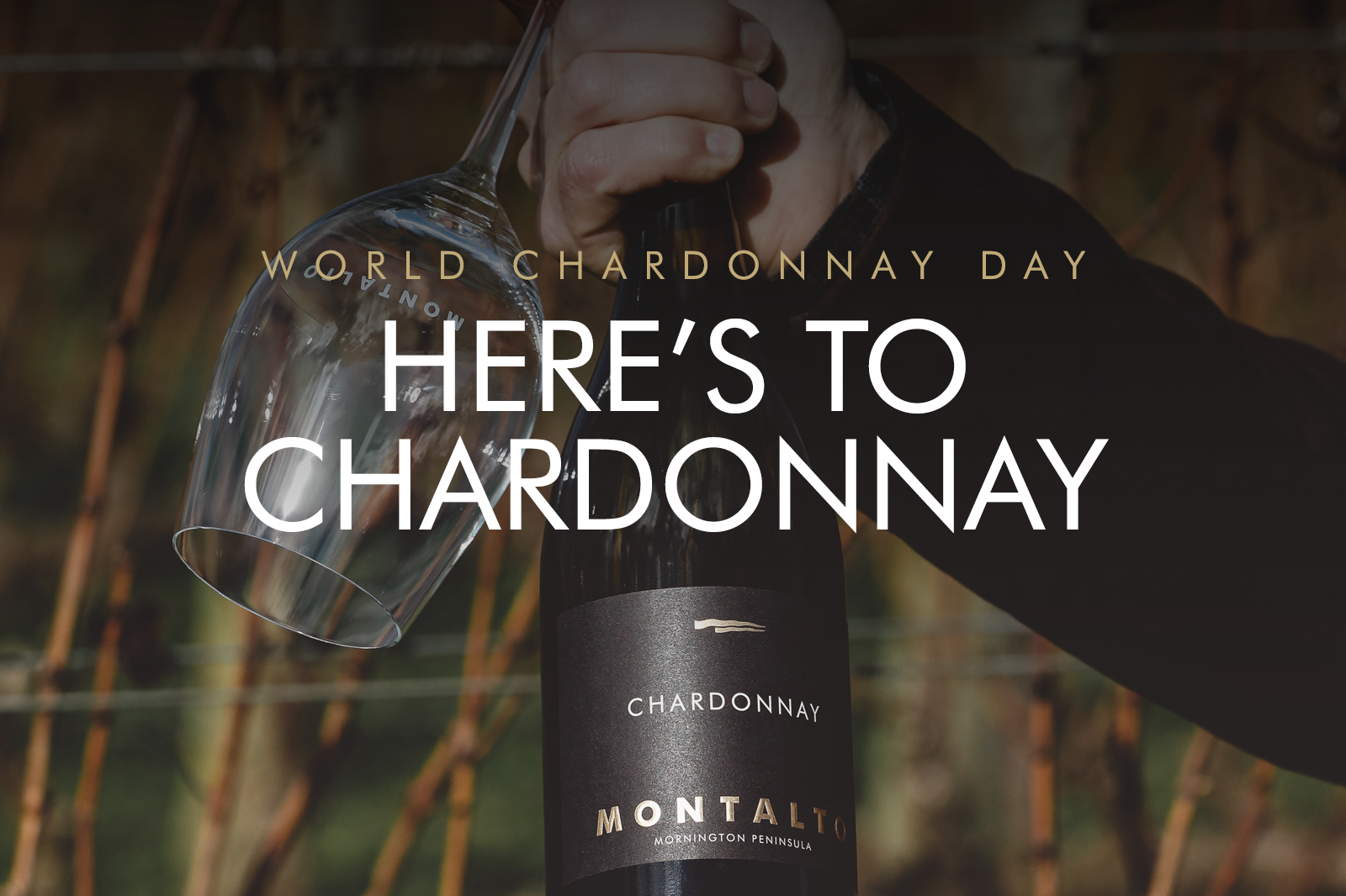 INTERNATIONAL CHARDONNAY DAY - THURSDAY 23RD MAY 2024