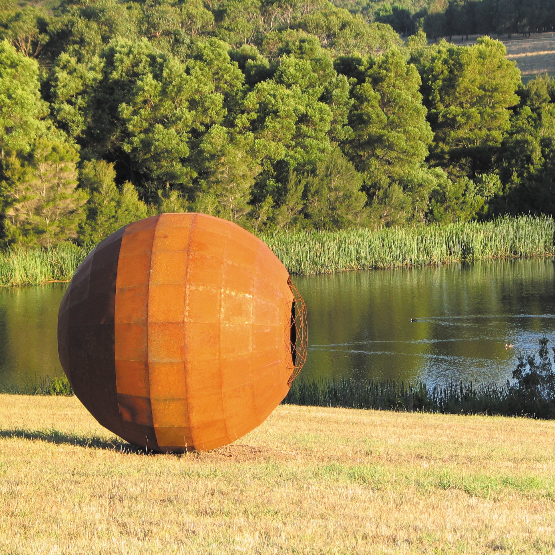Michael Needham's Artistic Perception - Montalto Winery