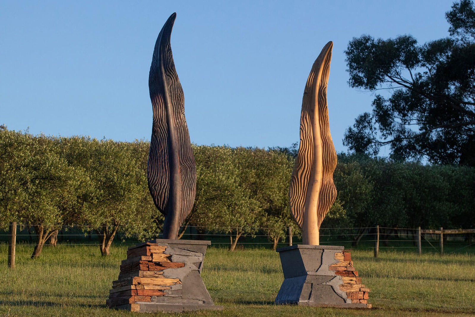 Montalto Winery | Red Hill, Mornington Peninsula