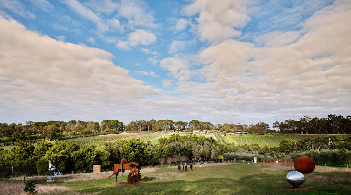 Montalto Winery | Red Hill, Mornington Peninsula