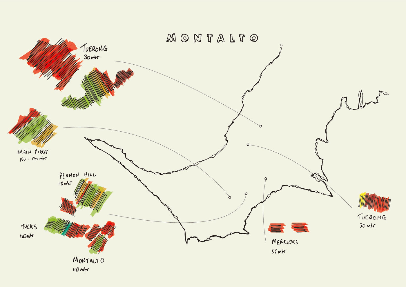 Vineyards & Wine